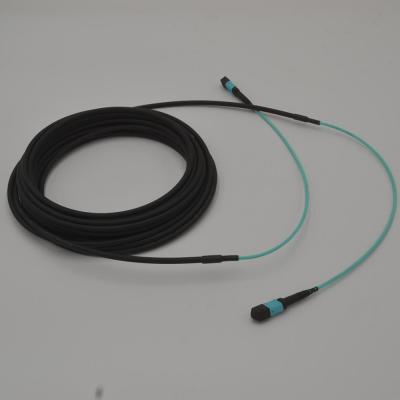 China Double Sheath 12 Core 5.5mm MPO MTP Patch Cord for sale
