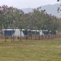 China Eco-Friendly Prefab Capsule House with Solar Panels - 15,000 sqm Factory, 200+ Units Monthly Capacity for sale