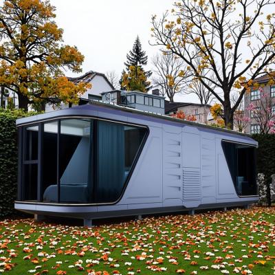 China Contemporary Steel Frame Capsule Homestay Portable Modular Unit 20ft for Urban Living for sale