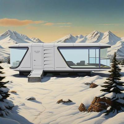 China Luxury 40ft Container Home Prefab Steel Modular Capsule House for Hotel Office Use for sale