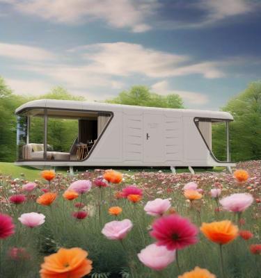 China Customizable Space Capsule House Unique Design Various Applications Interior Rendering Picture Included for sale