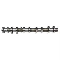 China Engine Intake Camshaft 25189701 for Chevrolet Aveo Spark B12D1 1.2L for sale
