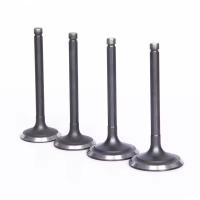 China Toyota 2RZ 2.4L Engine Intake Exhaust Valve Set 1371175030 1371575030 High Temp Corrosion Resistant for sale