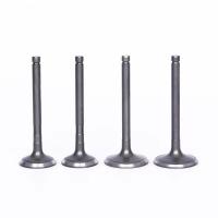 China Customized High Strength Engine Intake Valve for Toyota 1RZ 2.0L 1371175020 for sale