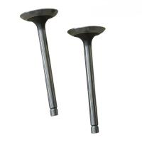 China Outlet Valve OE 90323756 90323757 for Daewoo Opel Chevrolet Engine Exhaust Valve for sale
