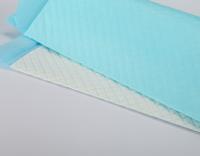 China Hospital Nursing Disposable Adult Care Pad with Dry Surface Absorption 0.5kg for sale