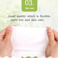 China Single Packing Face Tissues ISO Certified Natural Fabric Biodegradable Baby Wet Wipes for sale