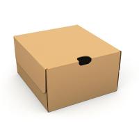 China Pin Point Gate Customized Corrugated Paper Packaging Box Lightweight Yet Durable Packaging Solution for Various Products for sale