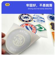 China Heat Transfer DTF PET Film Customized Glossy Matte Heat Peel Options for sale