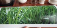 China 260g 5760dpi Quick Drying Waterproof Photo Paper With RC Coating For Color Prints for sale