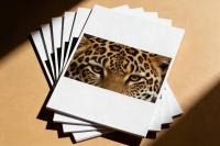 China High Brightness Inkjet Glossy Photo Paper 115g Lightweight For Image Printing for sale