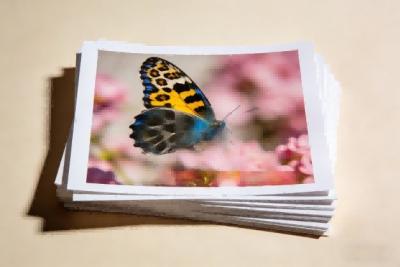 China Large Format Matte Photo Paper 200g A4 A3 Stiffness And Curl Resistance for sale