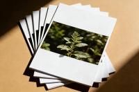 China 110g Inkjet Matte Paper A4 A3 Photo Paper Roll For Banner Or Poster Printing for sale