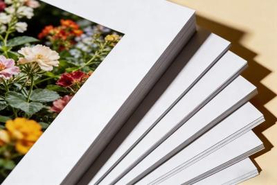 China 140g A3 Double Sided Photo Paper 610mm 914mm Roll For Photo Books Portfolios for sale