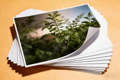 China 115g A4 A3 Inkjet Adhesive Paper Waterproof Smudge Resistant Adhesive Photo Paper for sale
