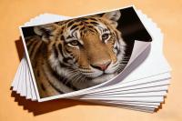 China High Definition White Double Sided Photographic Paper 300g Customization for sale