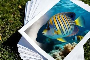 China Glossy Coating Double Sided Photo Paper 140g A4 A3 For Brochures Menus for sale