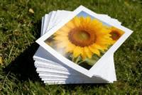 China High Contrast Double Sided Inkjet Paper 120g Glossy Inkjet Paper Vivid Colors for sale