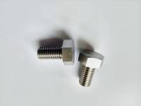China Customized 99.95% Pure Molybdenum Screws And Nuts Oxidation Resistance for sale