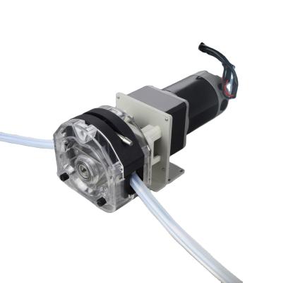 China 12v motor hydraulic  peristaltic pump for sale
