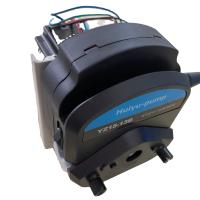 China DC 12V/24V OEM Peristaltic Pump Igh Flow Rate Peri Pump for sale