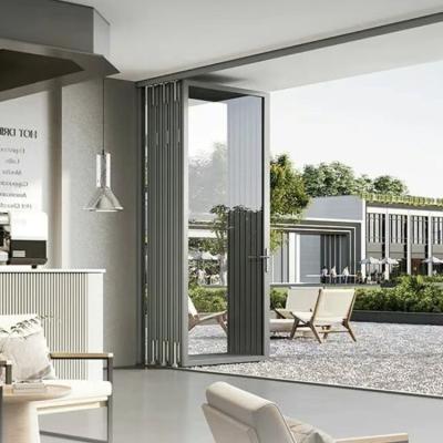 China Premium Reinforced Aluminum-Alloy Tempered Glass Mosquito-proof Folding Door Aluminum Door and Window Material for Living Room for sale