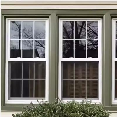 China Premium Quality Modern Aluminum Vertical Sliding Double Hung Windows Stainless Steel Screen Windproof for Bedroom School Hotel for sale