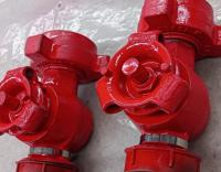 China API 6A Plug Oilfield High Pressure Manifold 10000psi - 20000psi Back Pressure Valve for sale