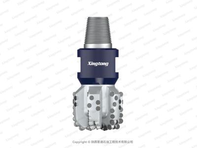 China Xingtong Drill Bit 6 XH S 6166 AM(24026) for sale