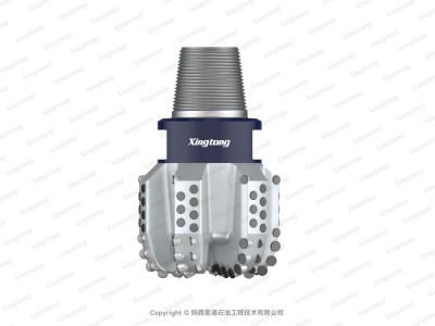 China Xingtong Drill Bit 8 1/2 XD S 6166 AB(24050) for sale