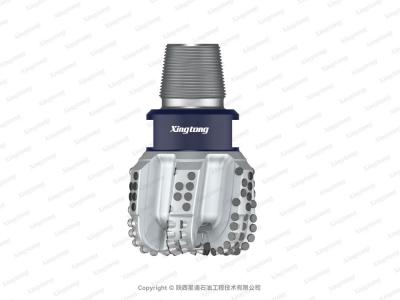 China Xingtong Drill Bit 8 1/2 XD S 6169 BS(24054) for sale