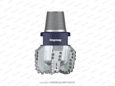 China Xingtong Drill Bit 8 1/2 XD S 5165 BS(24061) for sale