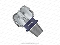 China Xingtong Drill Bit 8 1/2 XD S 5165 A(24048) for sale