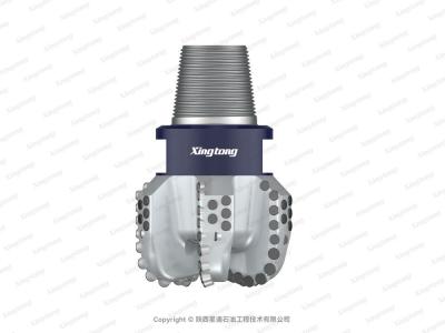 China Xingtong Drill Bit 8 1/2 XD S 5165 A(24048) for sale