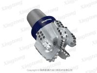 China Xingtong Drill Bit 8 1/2 XD S 5166 AD(24007) for sale