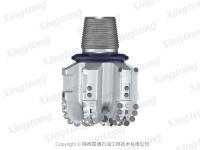 China Xingtong Drill Bit 8 1/2 XD S 6166 BM(24010) for sale