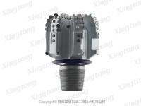 China Xingtong Drill Bit 8 1/2 XD S 6166 BM(24010) for sale
