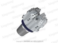 China Xingtong Drill Bit 8 1/2 XD S 6166 BM(24010) for sale