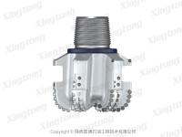 China Xingtong Drill Bit 12 1/4 XD S 6166 BD(24005) for sale