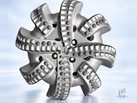 China 11 5/8″ 295mm PDC Drill Bit for Super Hard Formations with Dual Row Cutting Structure for sale