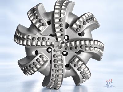 China 11 5/8″ 295mm PDC Drill Bit for Super Hard Formations with Dual Row Cutting Structure for sale