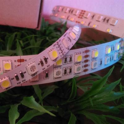 China IP68 Outdoor 5050smd 120leds/m RGBW LED Strips for sale