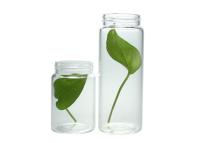 China 50ml 100ml 200ml Glass Vial High Borosilicate Screw Mouth Bottle for sale