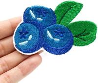 China Custom Embroidered Blueberries Iron On Patches Twill Material PMS Color 9 Colors for sale