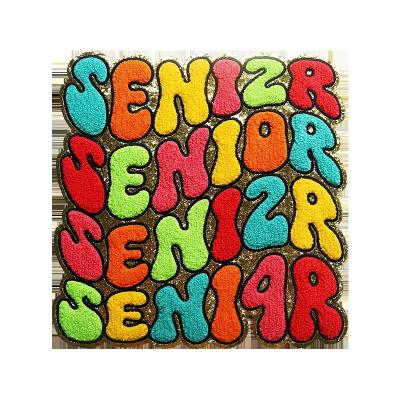 China Custom Chenille Letter Embroidered Patch Iron On for Clothing Bags Hats Durable Washable for sale