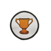 China Custom Embroidered Patches Iron On Sew On Heat Press 100 Pcs MOQ Cotton Polyester for sale