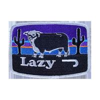China Custom Iron On Embroidery Patch 3x3 Inch for Clothing Hats Bags Wholesale 100pcs for sale
