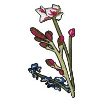 China Custom Embroidered Rose Flower Patch Iron On Backing Merrow Border 2Pcs White for sale