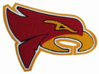 China Custom Chenille Letters Patches High Density 8cm Varsity Embroidered Patch for sale