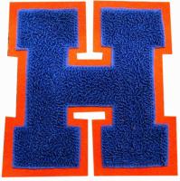 China Blue Orange Chenille Varsity Letters  Double Or Single Felt Soft Touch for sale